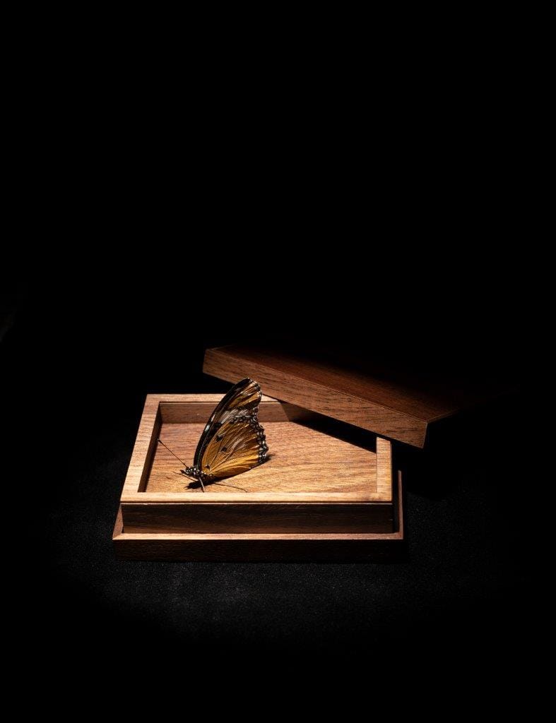 Butterfly Box - Kelvin Chow - Vanishing Inc. Magic shop