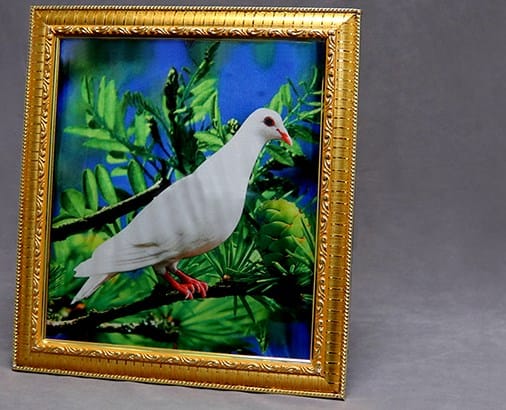 Dove Frame (Photo) - Mr. Magic - Vanishing Inc. Magic shop