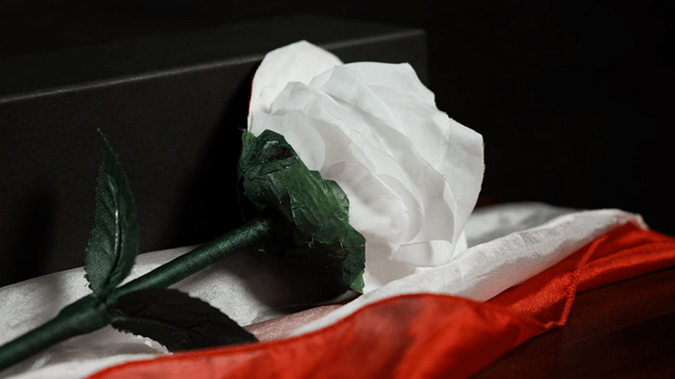 Fantasy Rose - Lee Jah Bond - Vanishing Inc. Magic shop