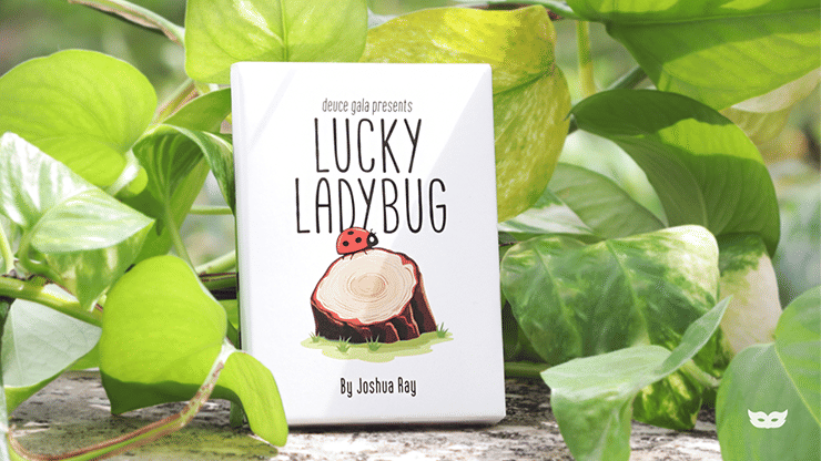 Lucky Ladybug - Deuce Gala and Joshua Ray - Vanishing Inc. Magic shop