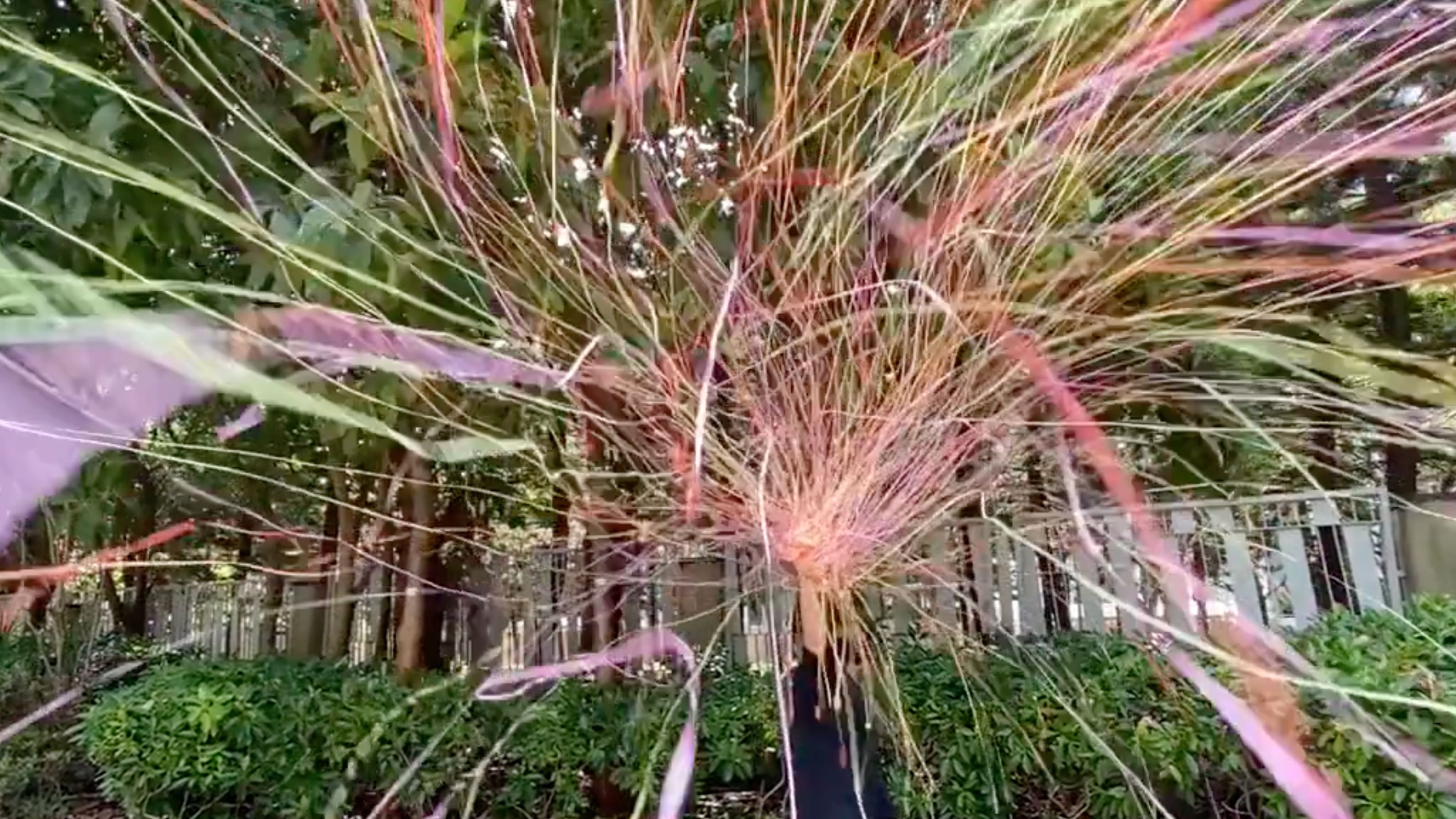 Mega 360 Throw Streamers - Alan Wong - Vanishing Inc. Magic shop