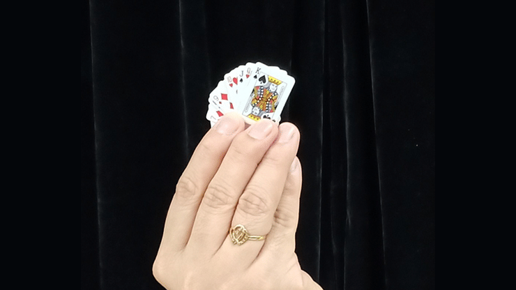 Reverse Card - JL Magic - Vanishing Inc. Magic shop