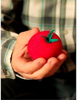 The Incredible Growing Sponge Tomato - Vanishing Inc. Magic shop