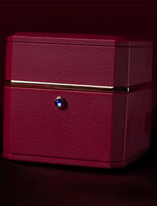 Magic tricks - Vanishing Inc. Magic shop (page 2)