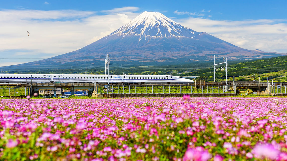 Japan magic retreat - Vanishing Inc. Magic shop